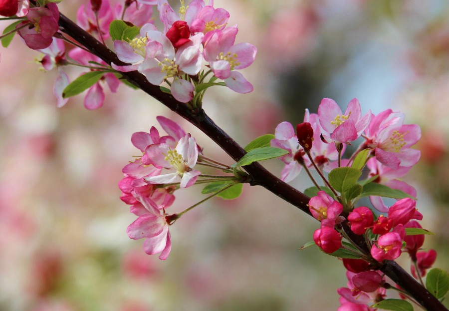 The Fresh Sounds of Spring - The Ambient Mixer Blog