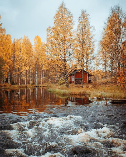Autumn Is Approaching – Get Excited For Fall ? - The Ambient Mixer Blog